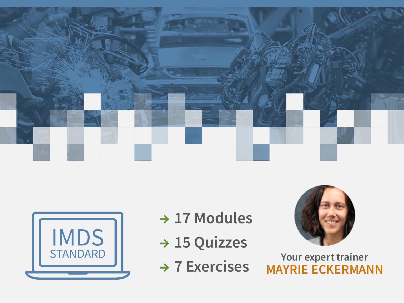 IMDS Online Training Standard Level - Tetra Tech Sustainable Markets