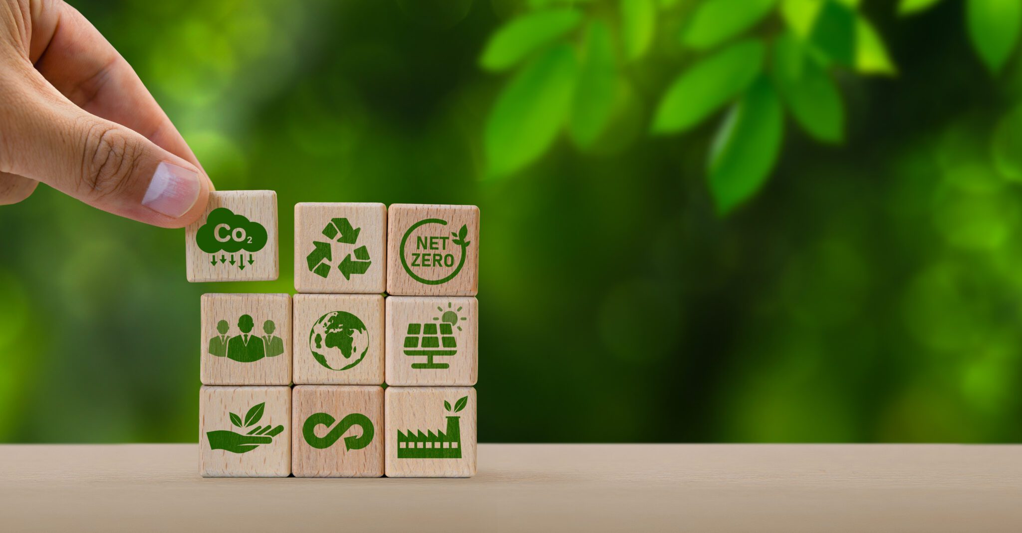 New FASB Standard on Environmental Credits: What It Means for Your ...